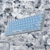 Redragon Fizz K617 SE 60% Full-Transparent Wired RGB Gaming Keyboard ...